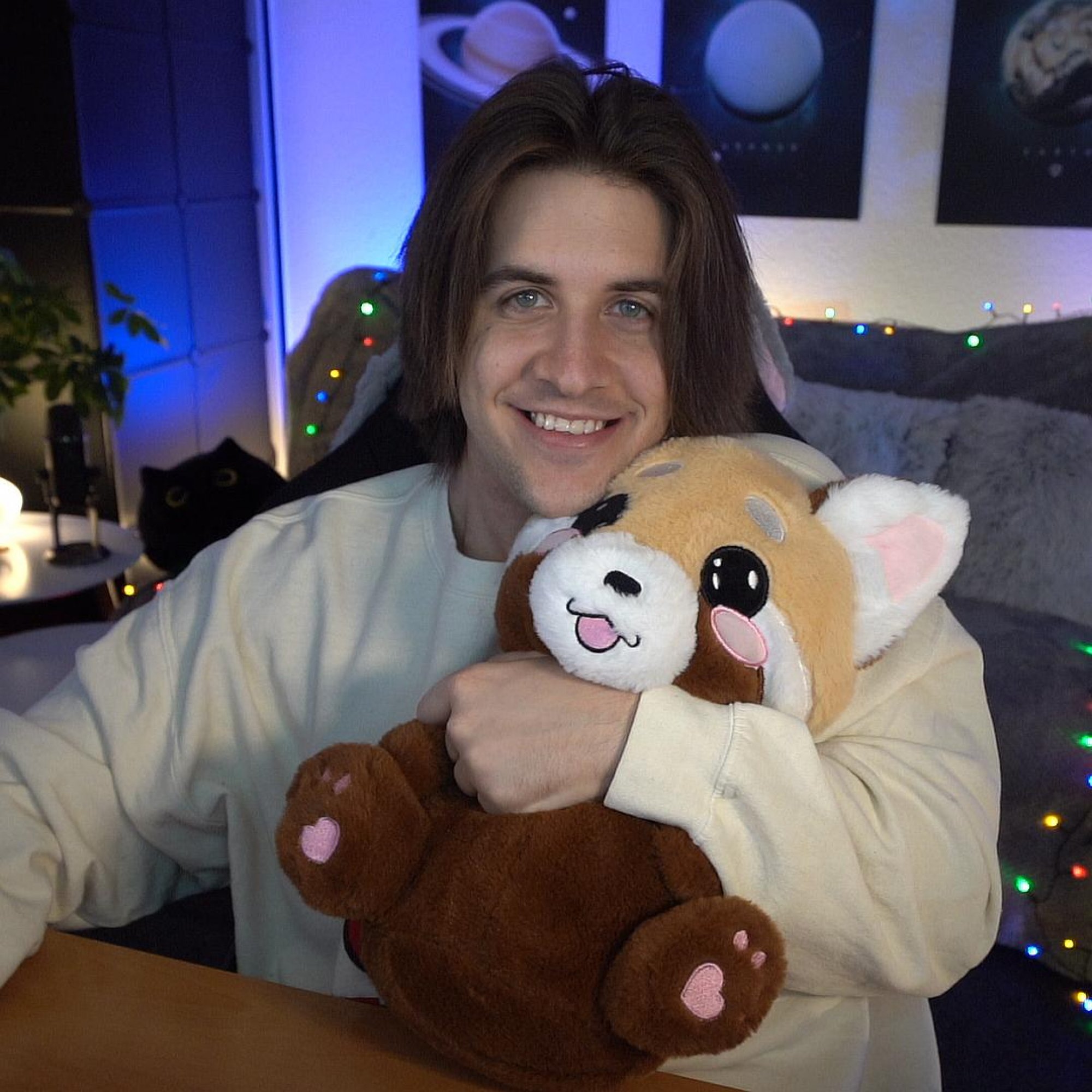 moodrush - Timit Red Panda Plush Pillow Shop